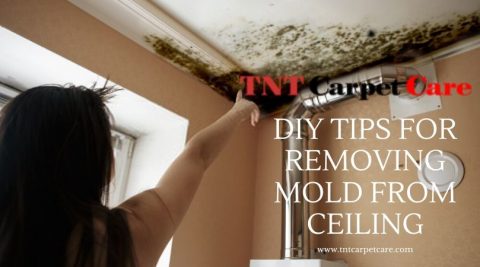 DIY Tips For Removing Mold From Ceiling By TNT Carpet Care