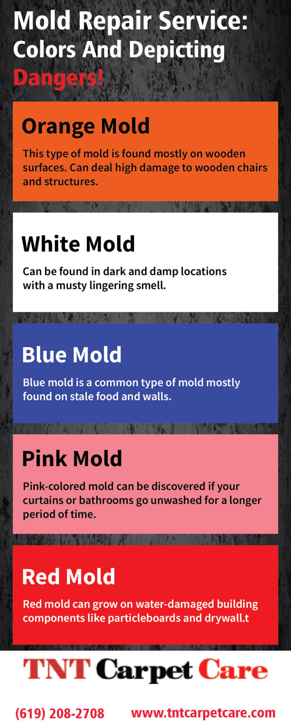 Mold Repair Service: Colors And Depicting Dangers!